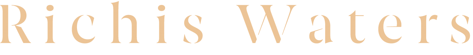 Acqua Numen Vetro Naturale 100 cl (12 Bottiglie) | Richis Waters